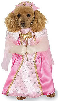 HOLIDAY, PARTY AND FORMAL ATTIRE DOGGIE STYLE, for your dog, these are ...